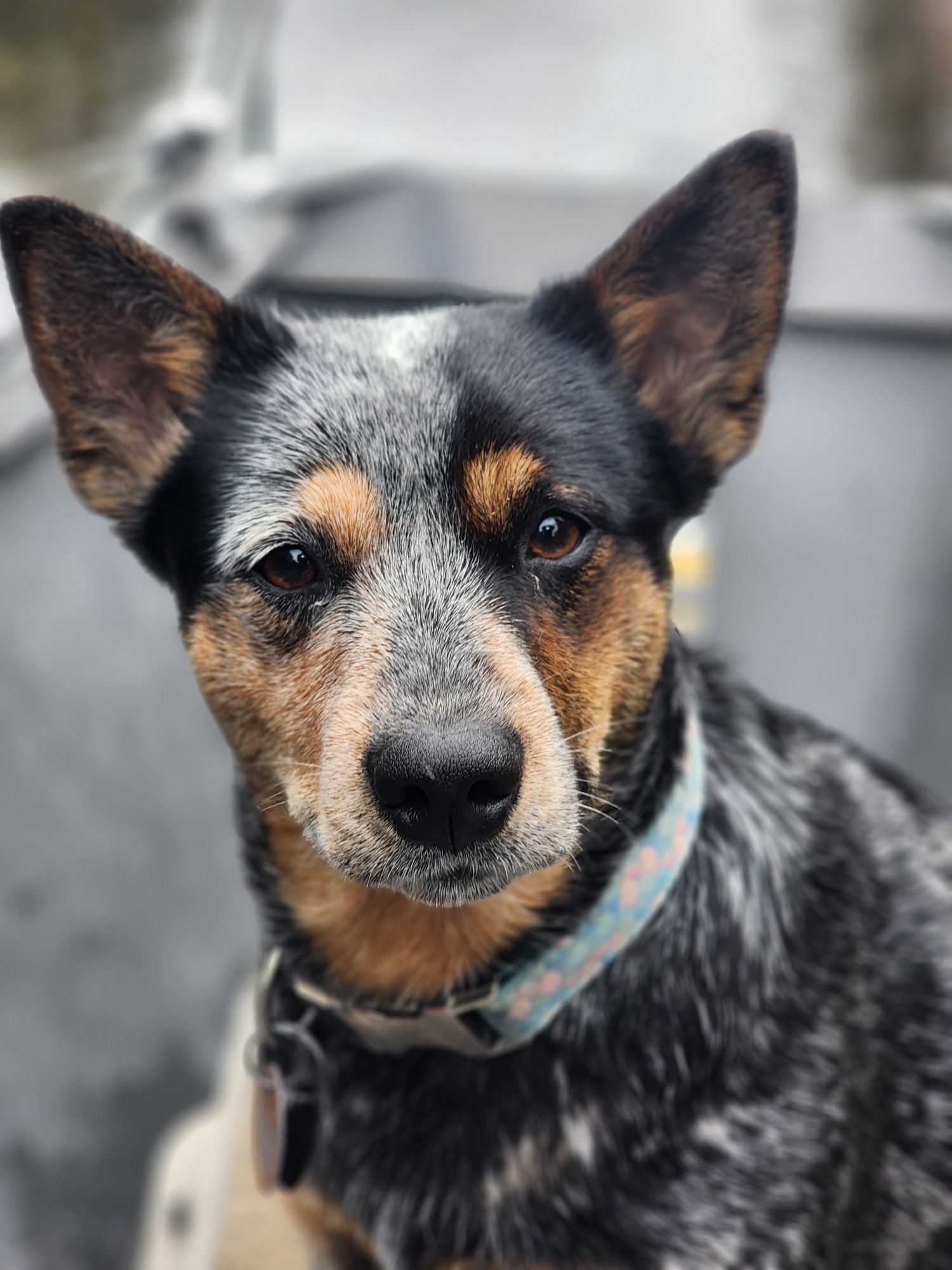 My fishing partner | HoboFishing