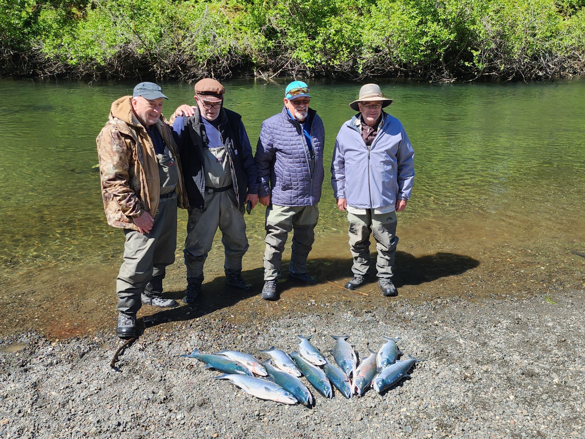 Sockeye are here | HoboFishing